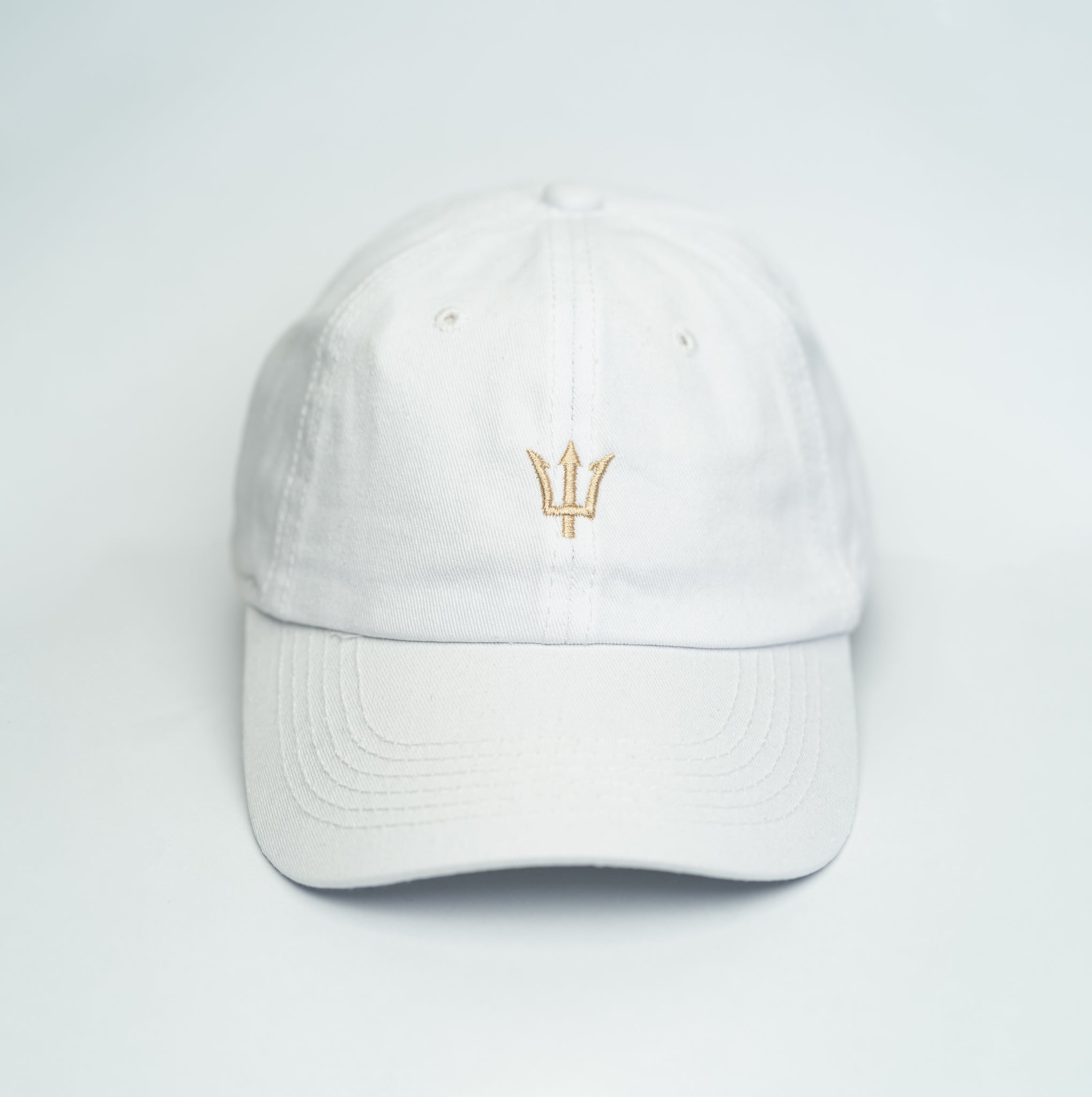Trident Dad Hat – WhatNotz